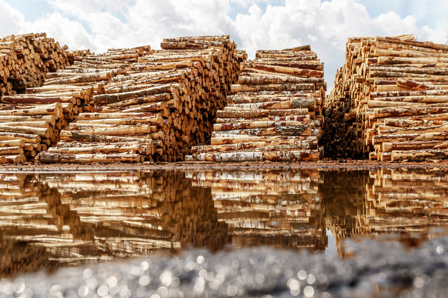 Homepage - Latvijas Finieris