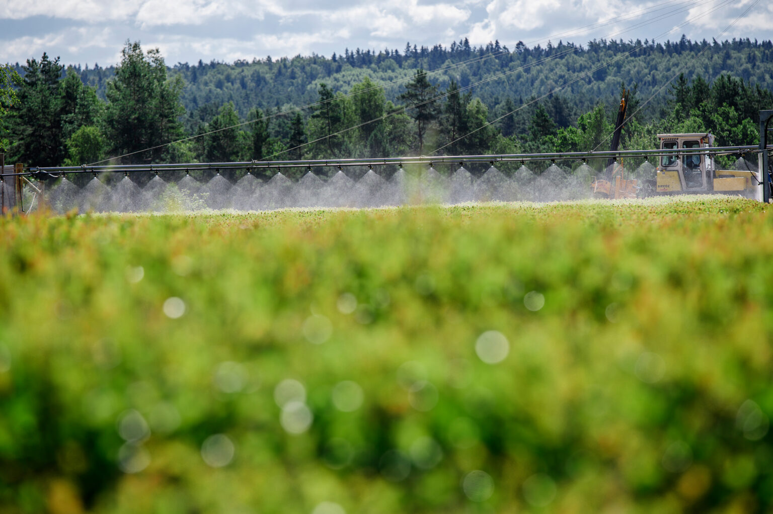 Discover the Story of the Group: Responsible Work, Earnings, and ...