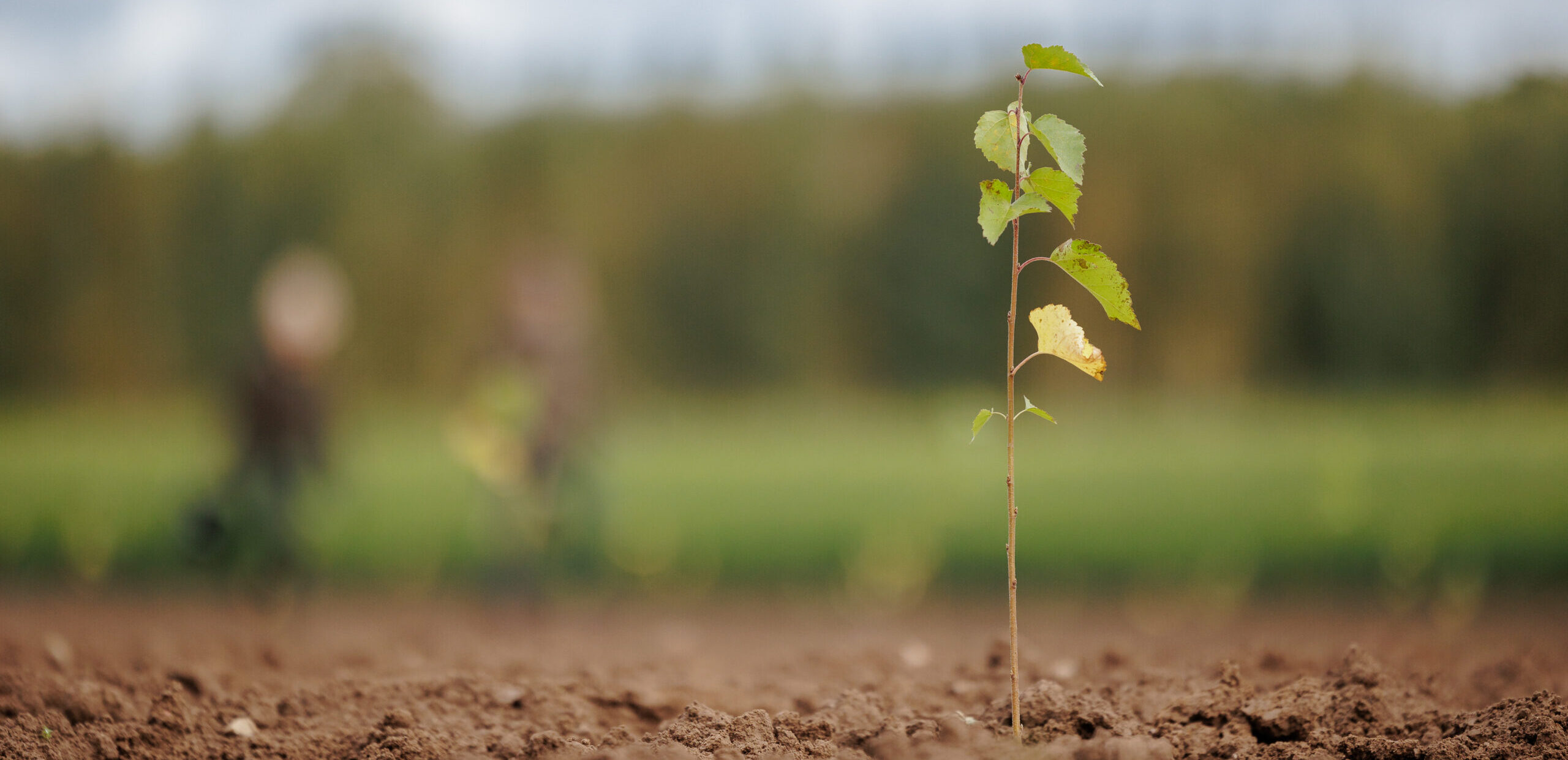 Responsibility - Latvijas Finieris