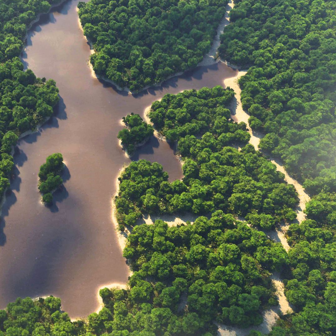 Discover the Story of the Group: Responsible Work, Earnings, and ...