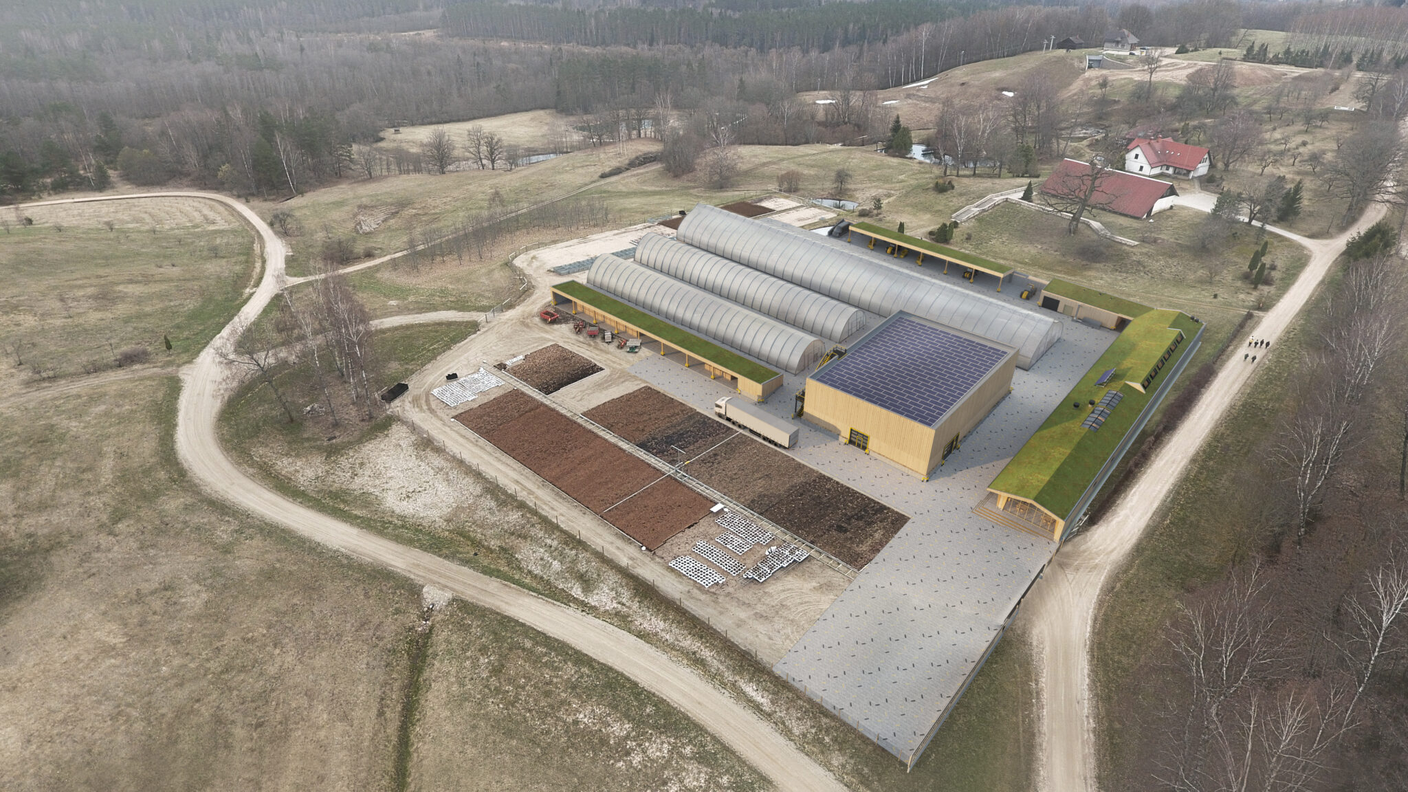 Tree seedlings - Latvijas Finieris