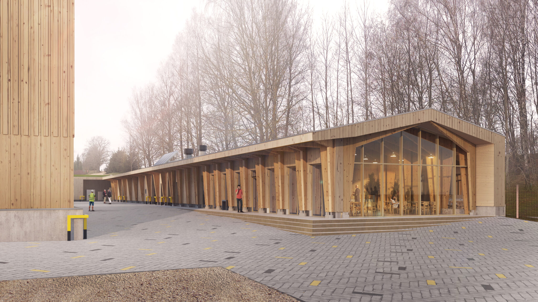 Tree seedlings - Latvijas Finieris