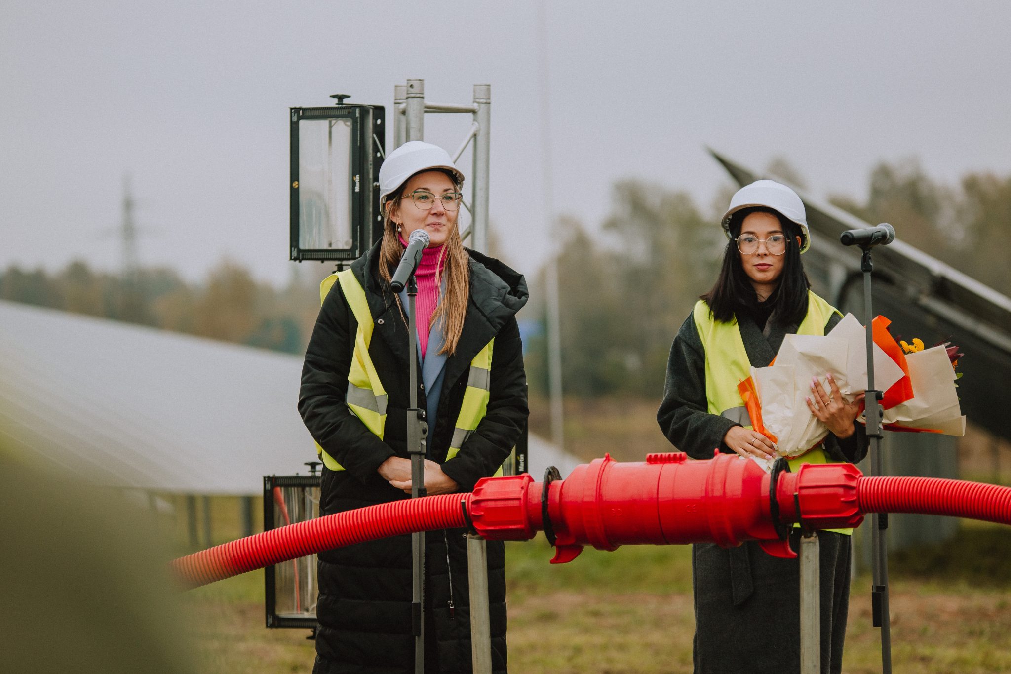 New solar park unveiled at VEREMS mill to power sustainable manufacturing - Latvijas Finieris