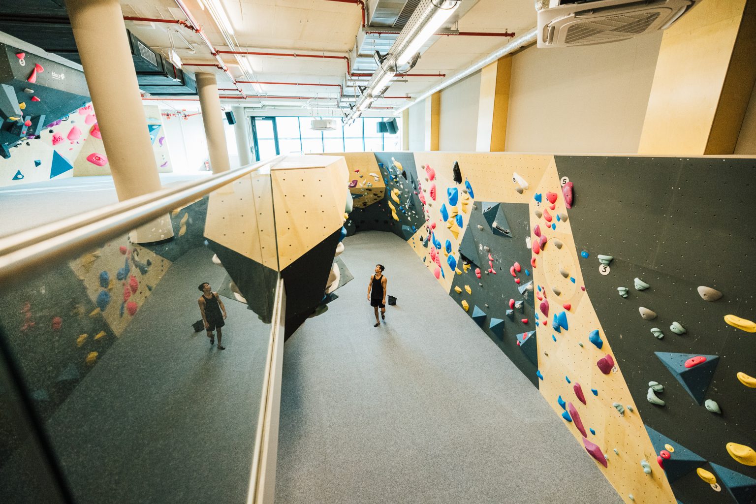 Riga Wood Birch Plywood for Bouldering Wall Constructions - Latvijas ...