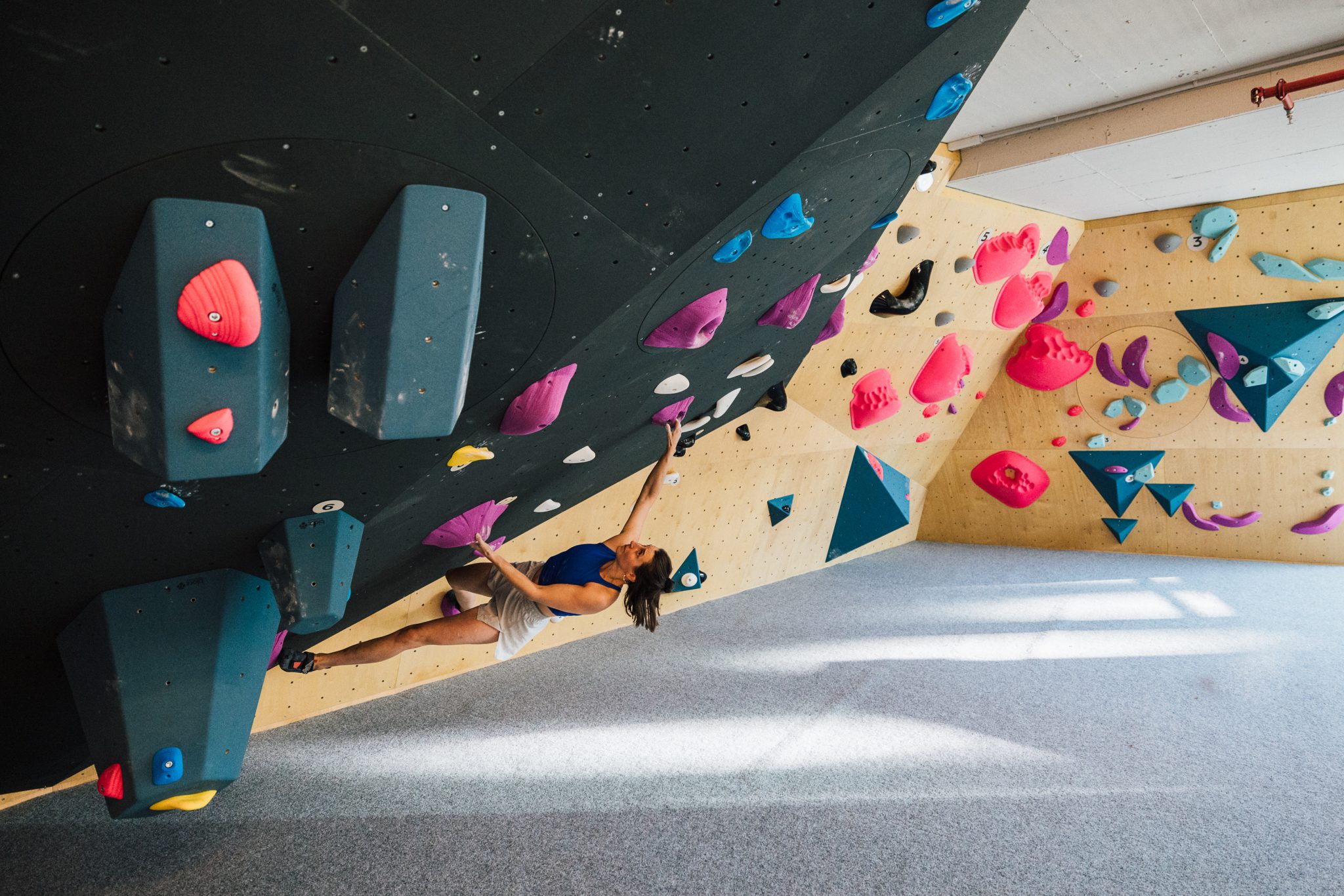 Riga Wood Birch Plywood for Bouldering Wall Constructions - Latvijas ...
